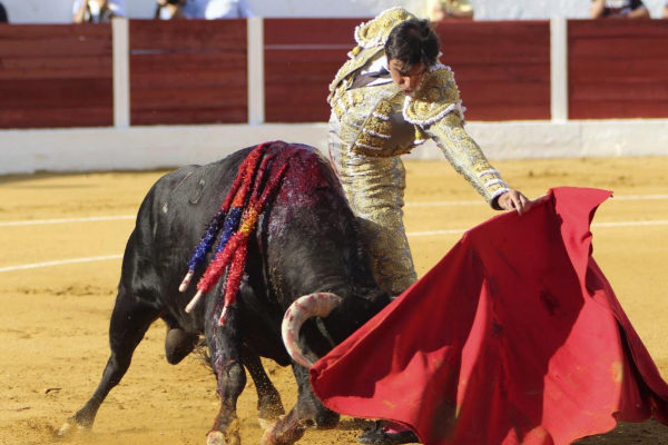 Noticias de Toros - Página 79 | EL MUNDO