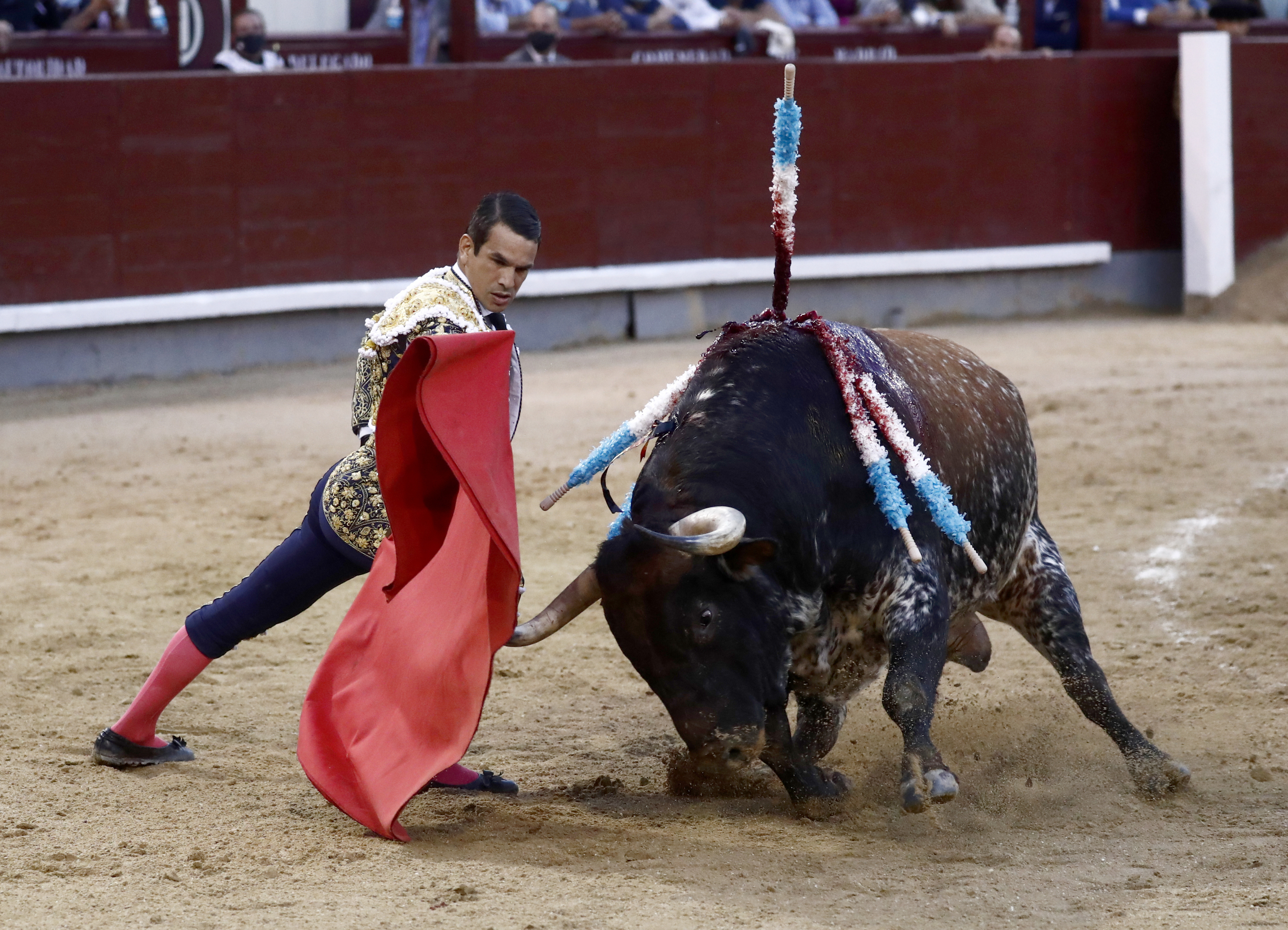 'Casero', el clásico toro de público | Toros