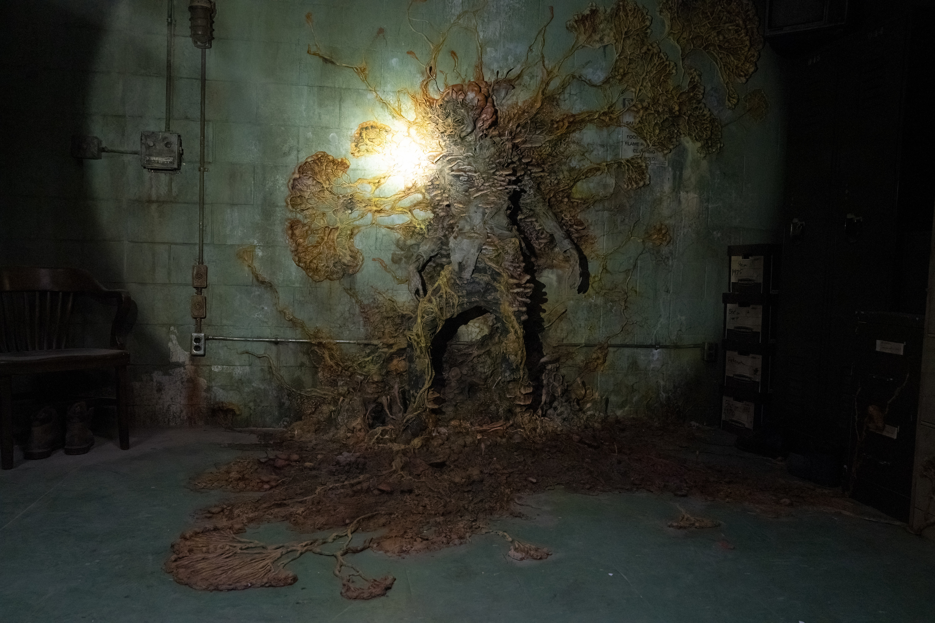 La verdades y mentiras científicas de The Last of Us | Series