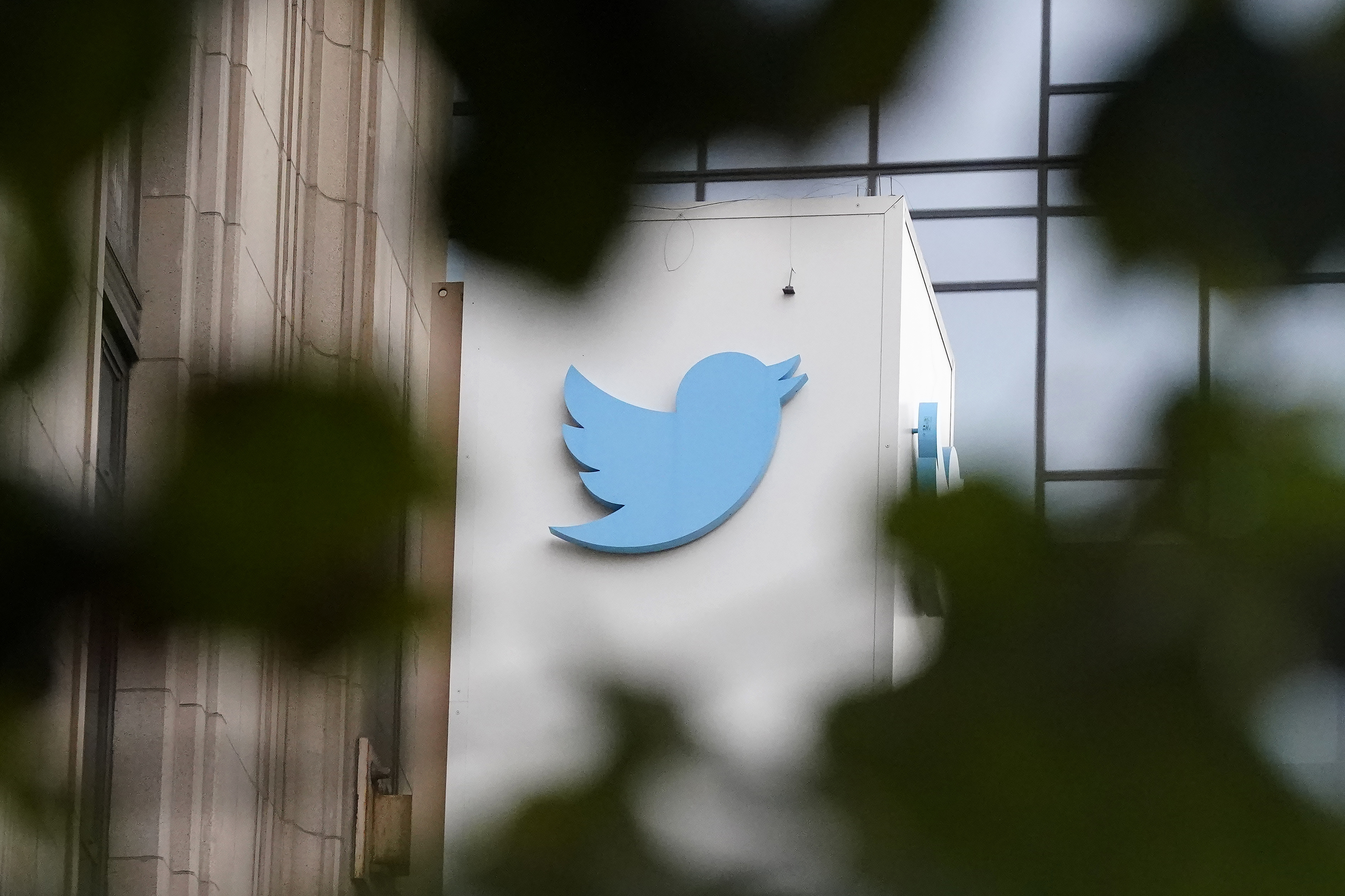 Un error hace públicos los tuits privados de muchos usuarios de Twitter ...