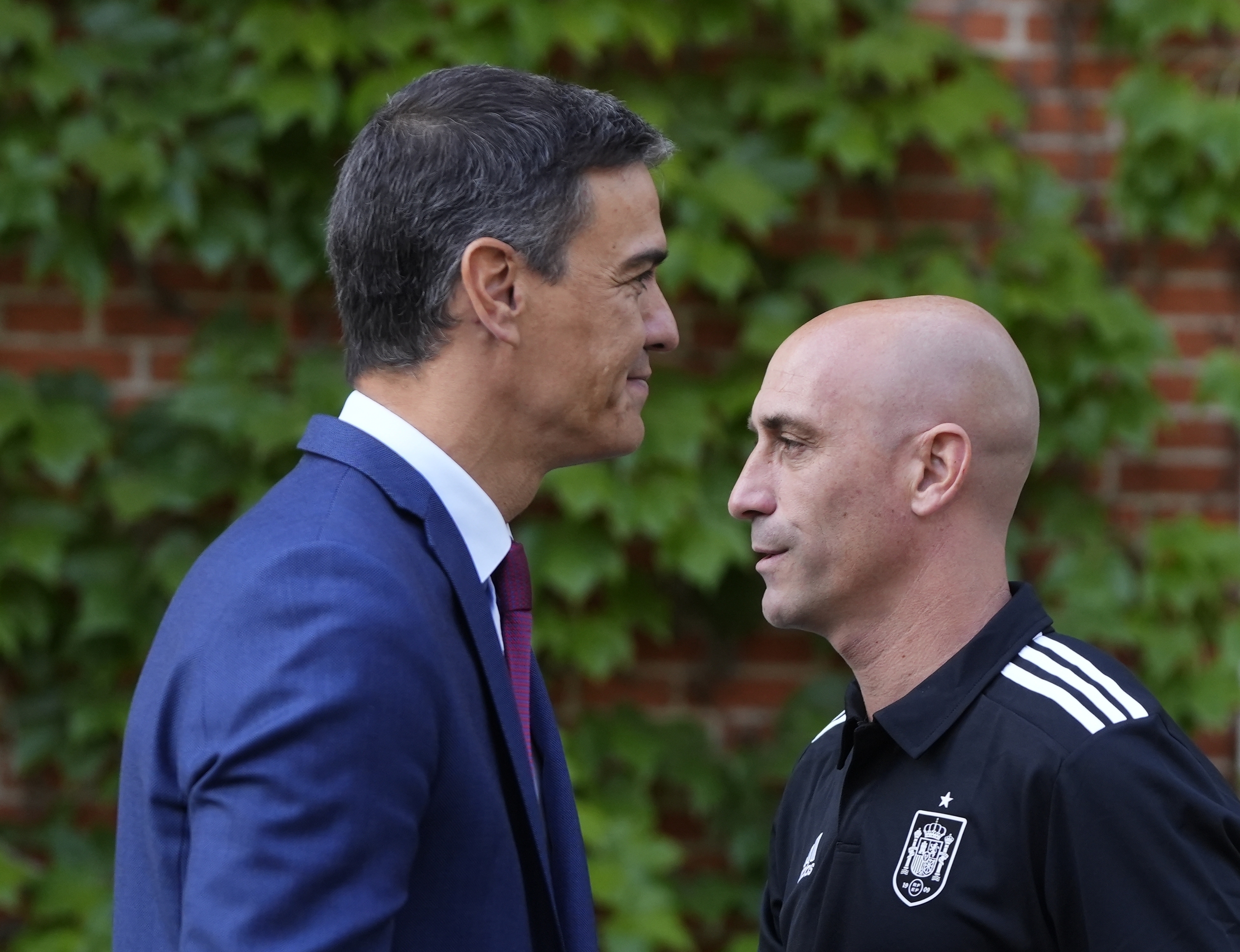 El ajuste de cuentas de Rubiales en 502 páginas: Pedro Sánchez y la ...