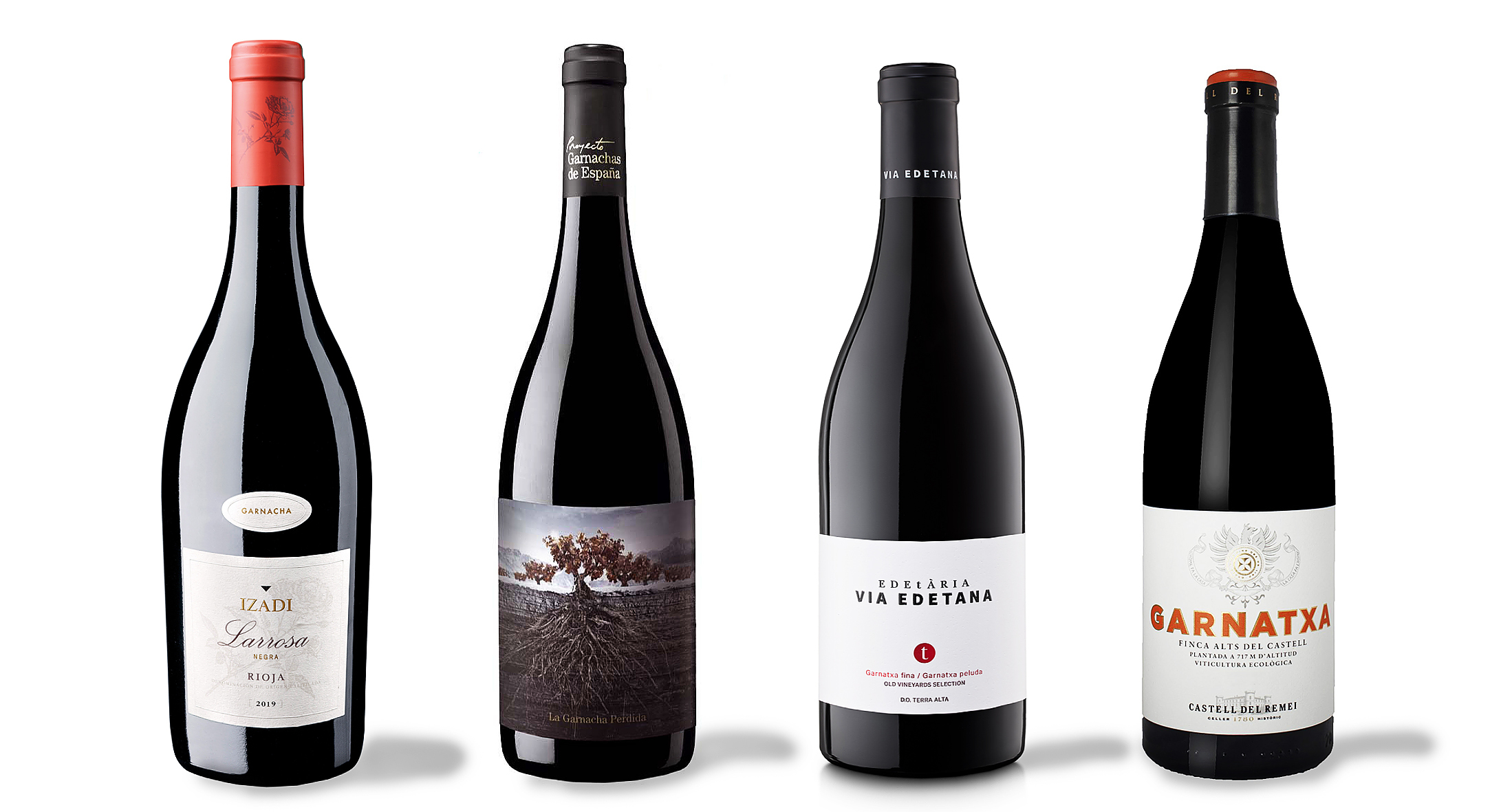 Las 10 garnachas que hay que catar este otoño | Vinos