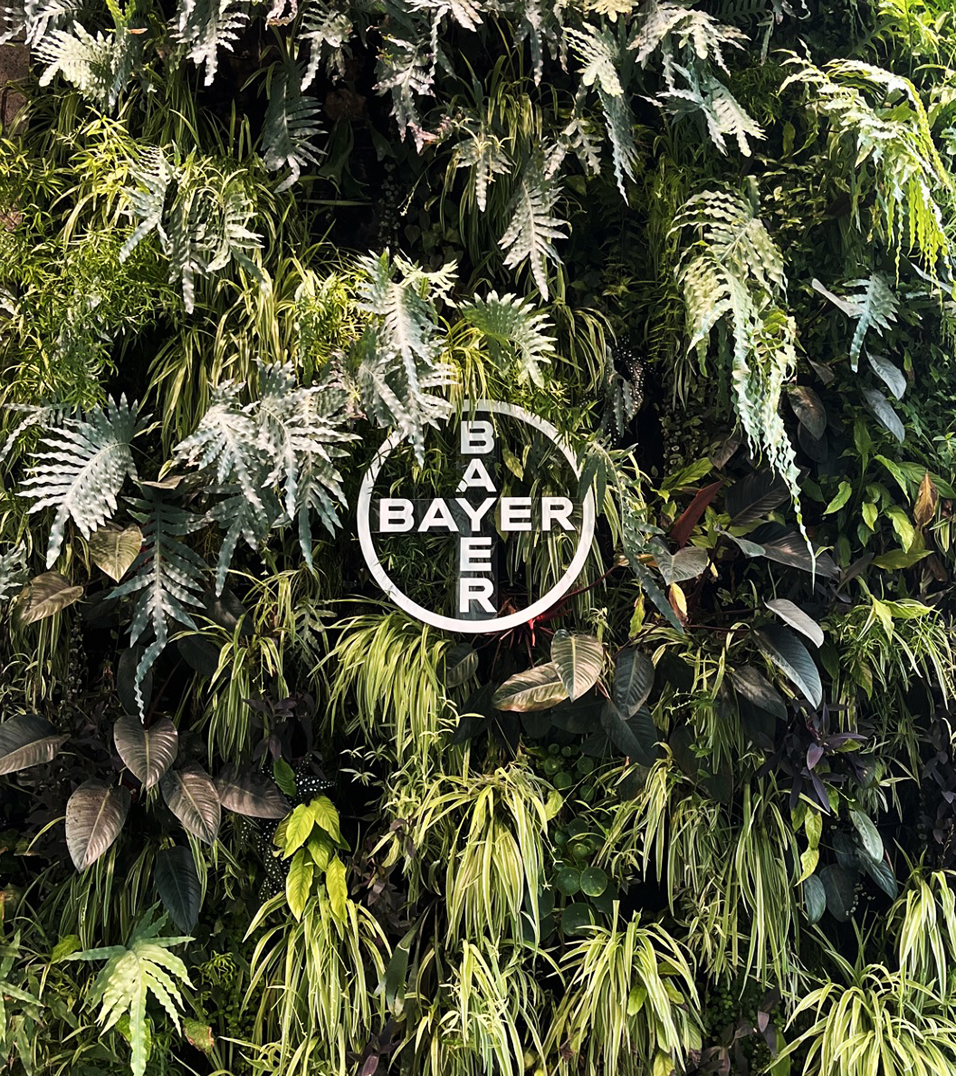 El laboratorio de Bayer para la agricultura del futuro: "Es difícil ser ...
