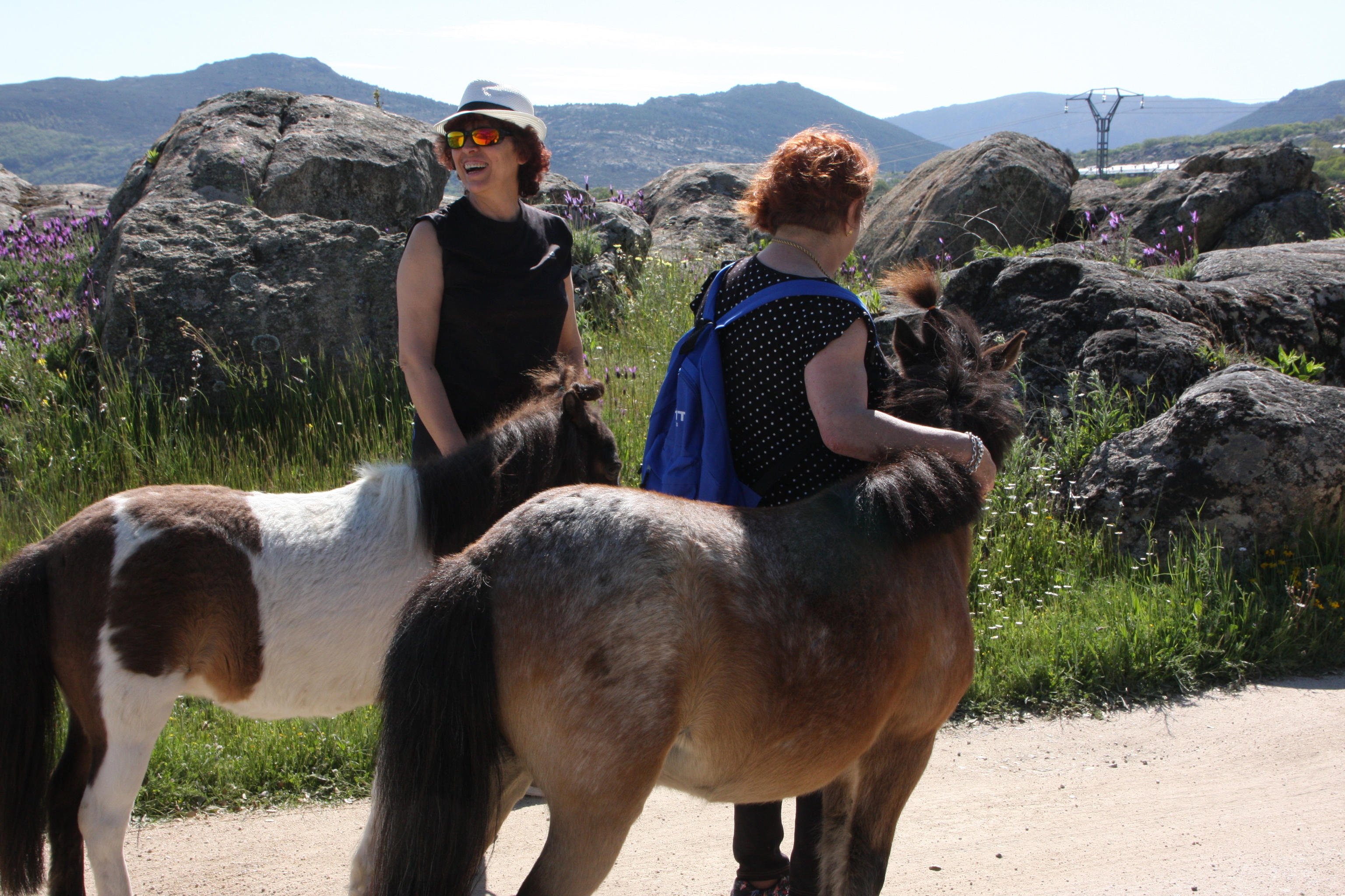 Equinoterapia paseando con ponis: "Potencia la concentración, la ...