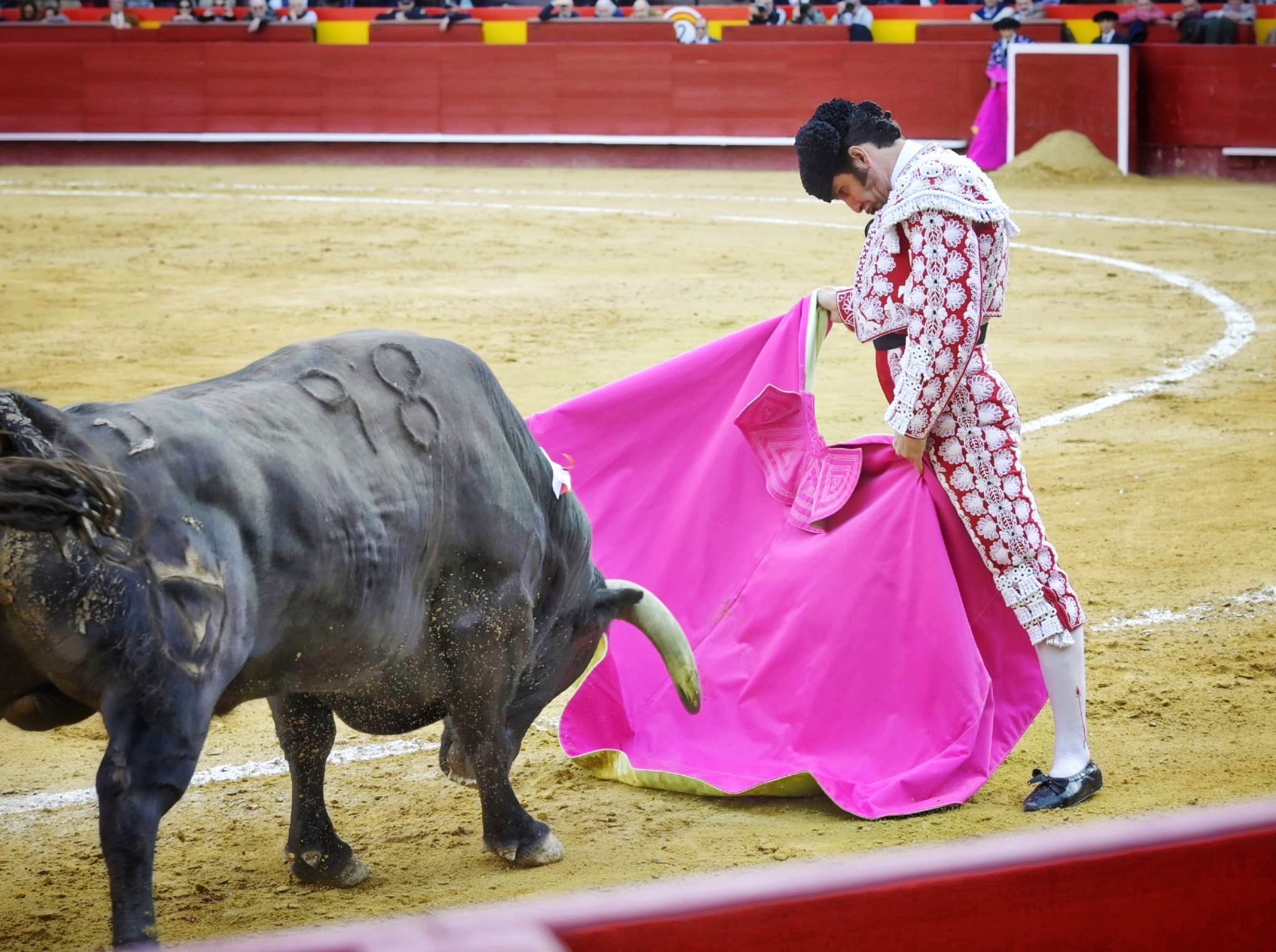 Una faena con sordina de Morante en la jaleosa mixta de Valencia | Toros
