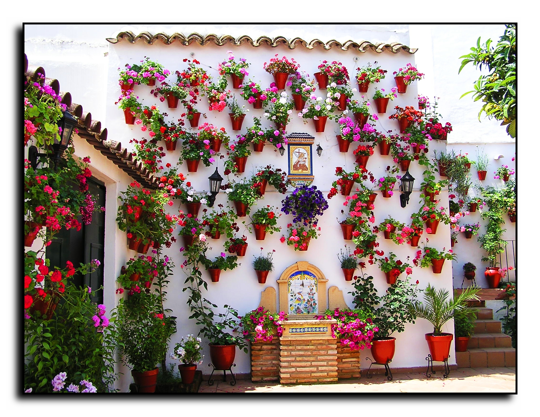 Visitar patios de cordoba 2026 | Portugalessence.com