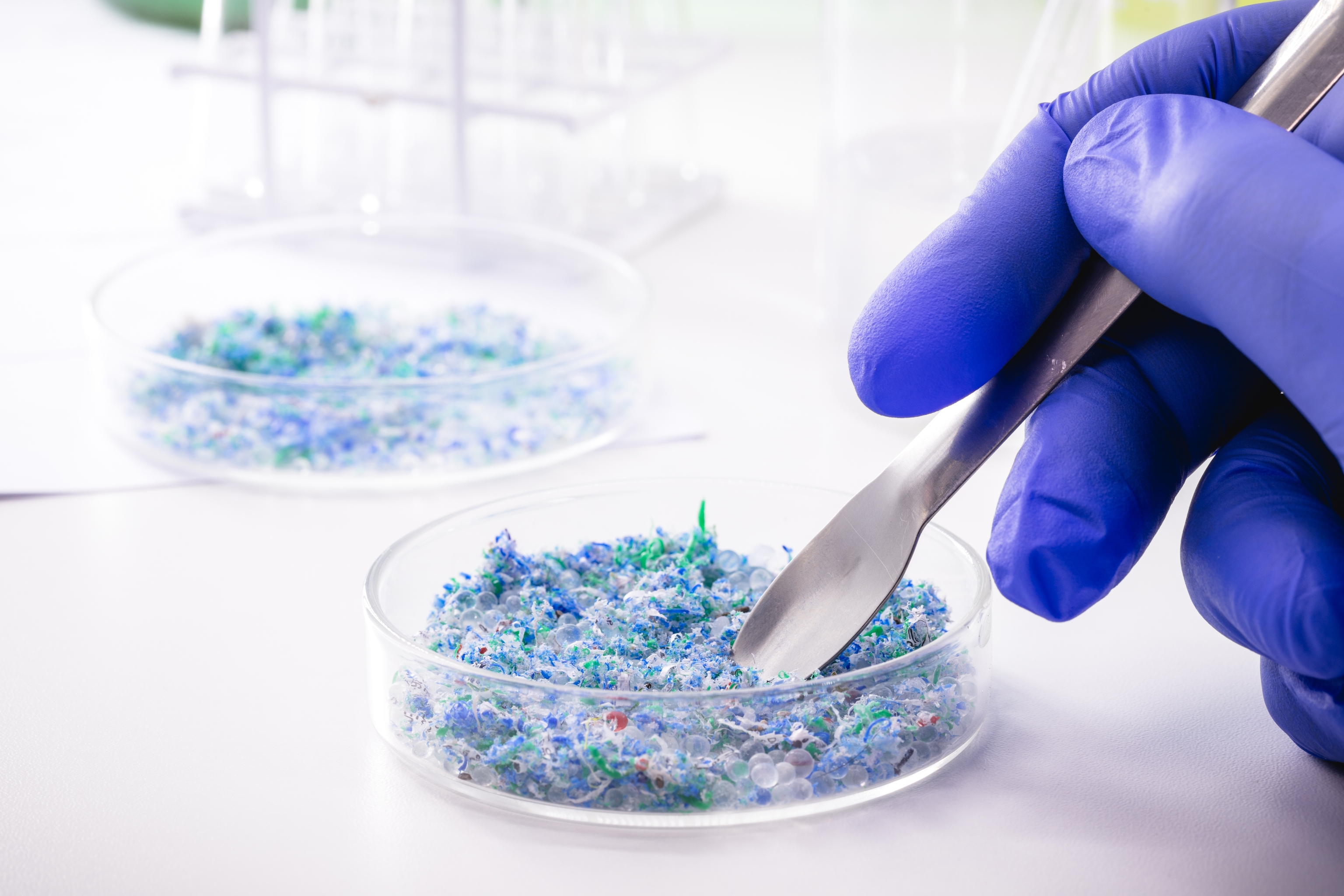Un estudio encuentra la presencia de microplásticos en testículos de ...