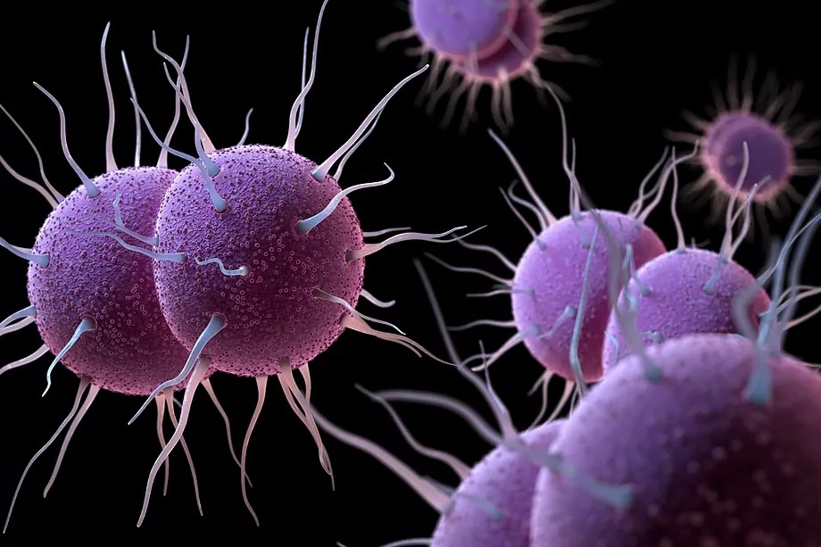 Gonorrea Qué Es Cuáles Son Sus Síntomas Y Cómo Se Trata Salud