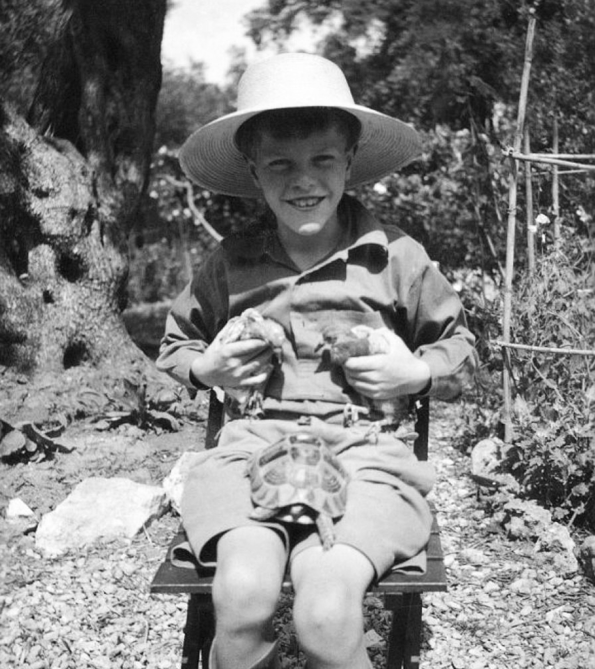Gerald Durrell vuelve a Corfú por su centenario: de paraíso sin ...