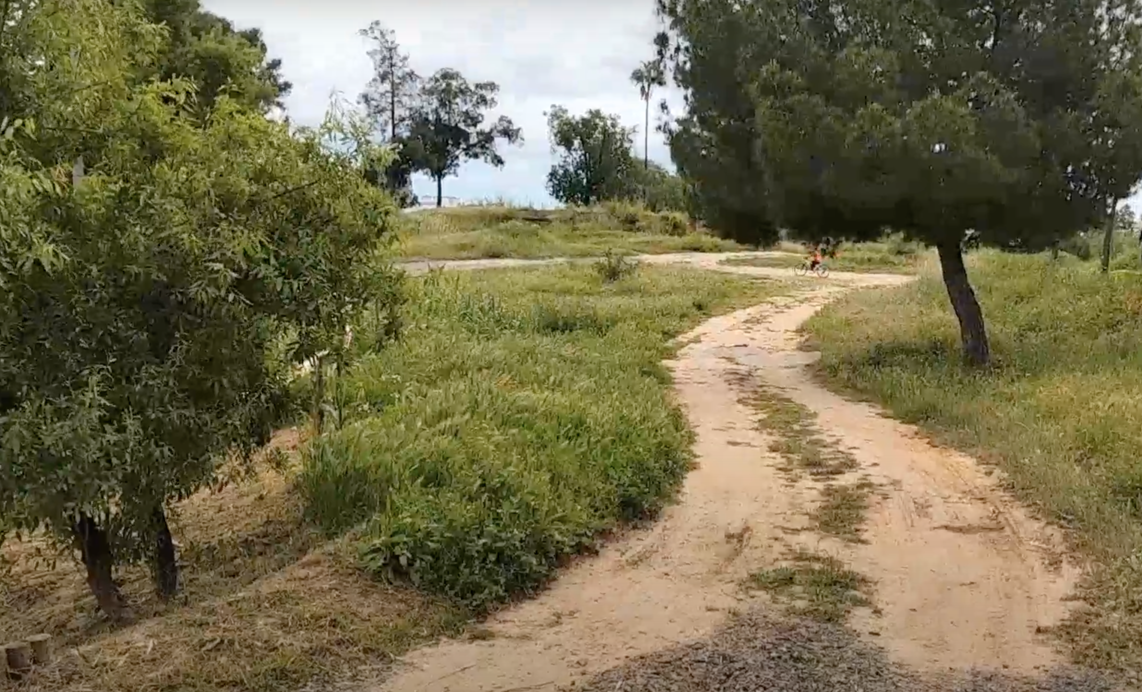 Ni María Luisa ni Genovés: este es el parque más grande de toda ...