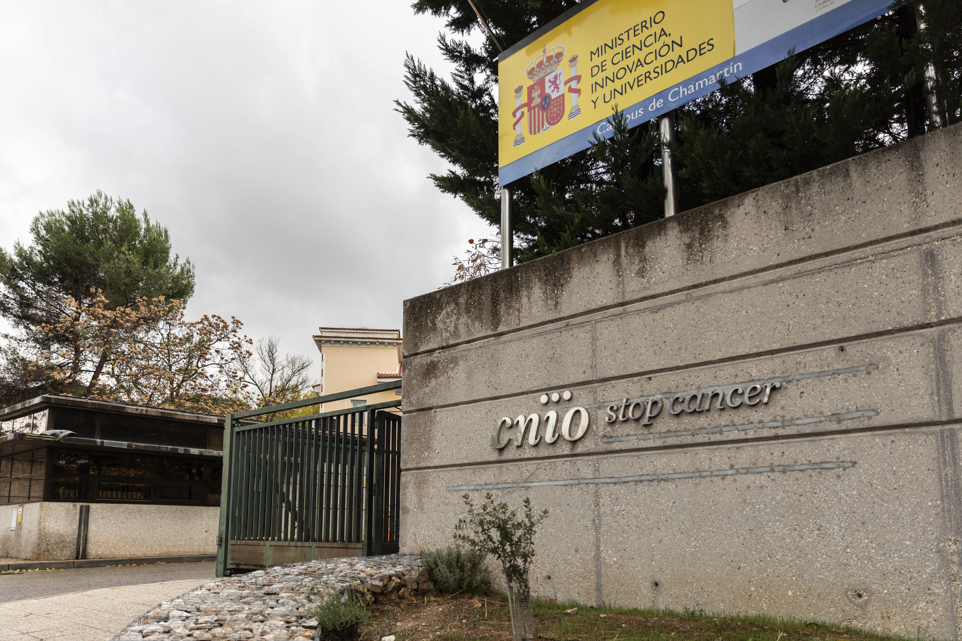 Renuncia el gerente del CNIO que había denunciado decenas de ...