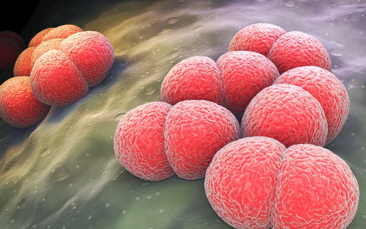 Estos son los tipos de meningitis que se pueden prevenir | Salud