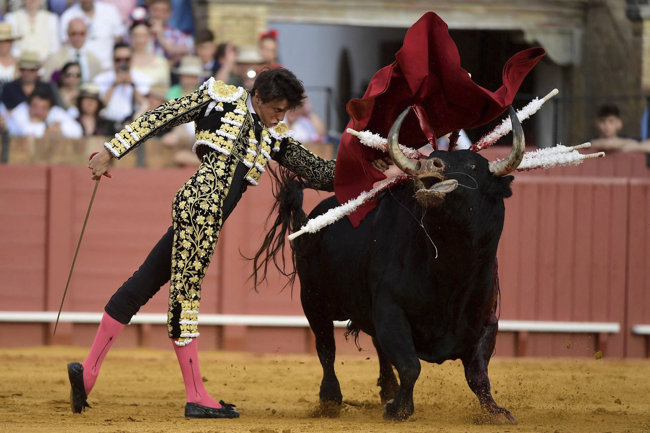 Noticias de Toros | EL MUNDO