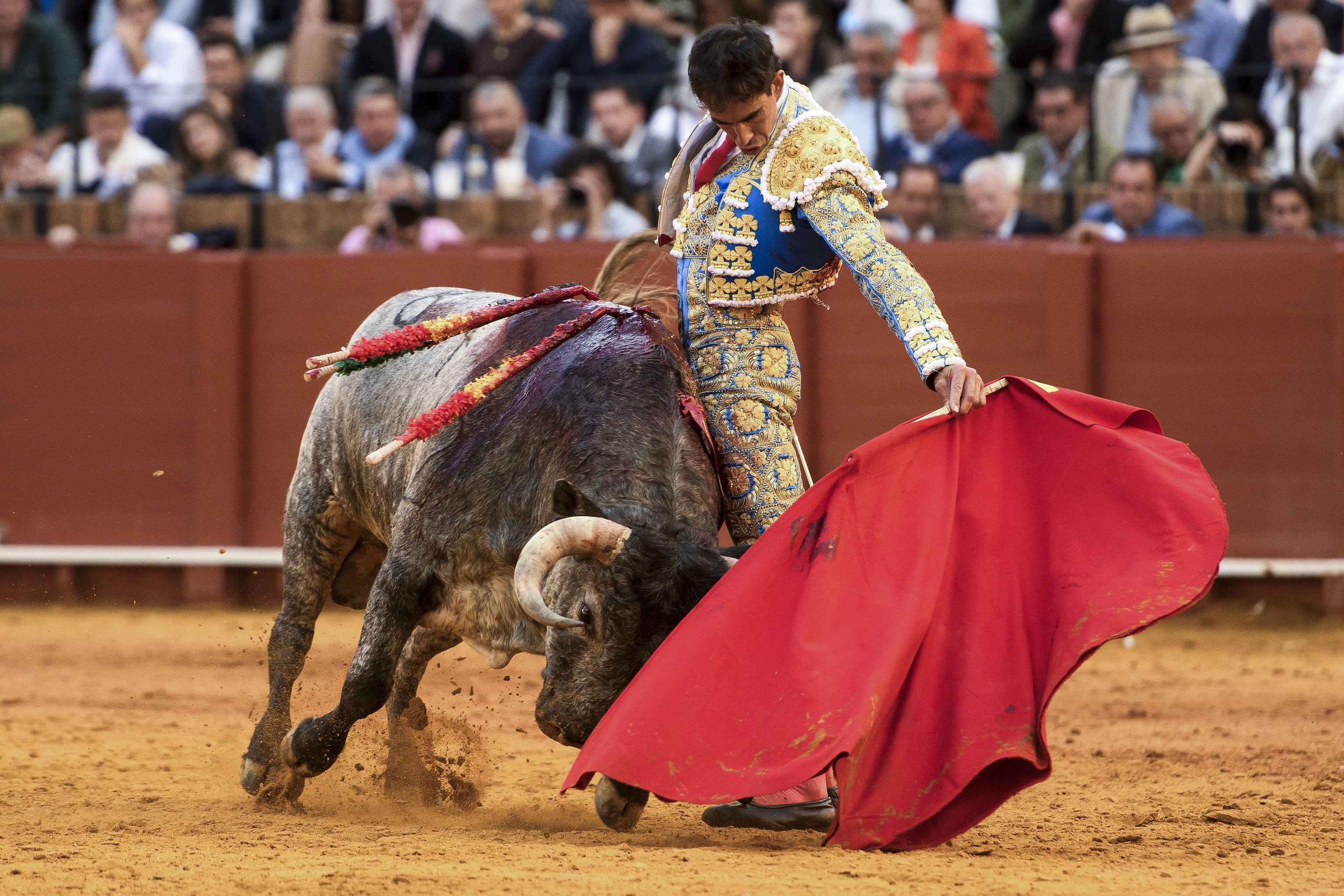 Noticias de Toros - Página 2 | EL MUNDO