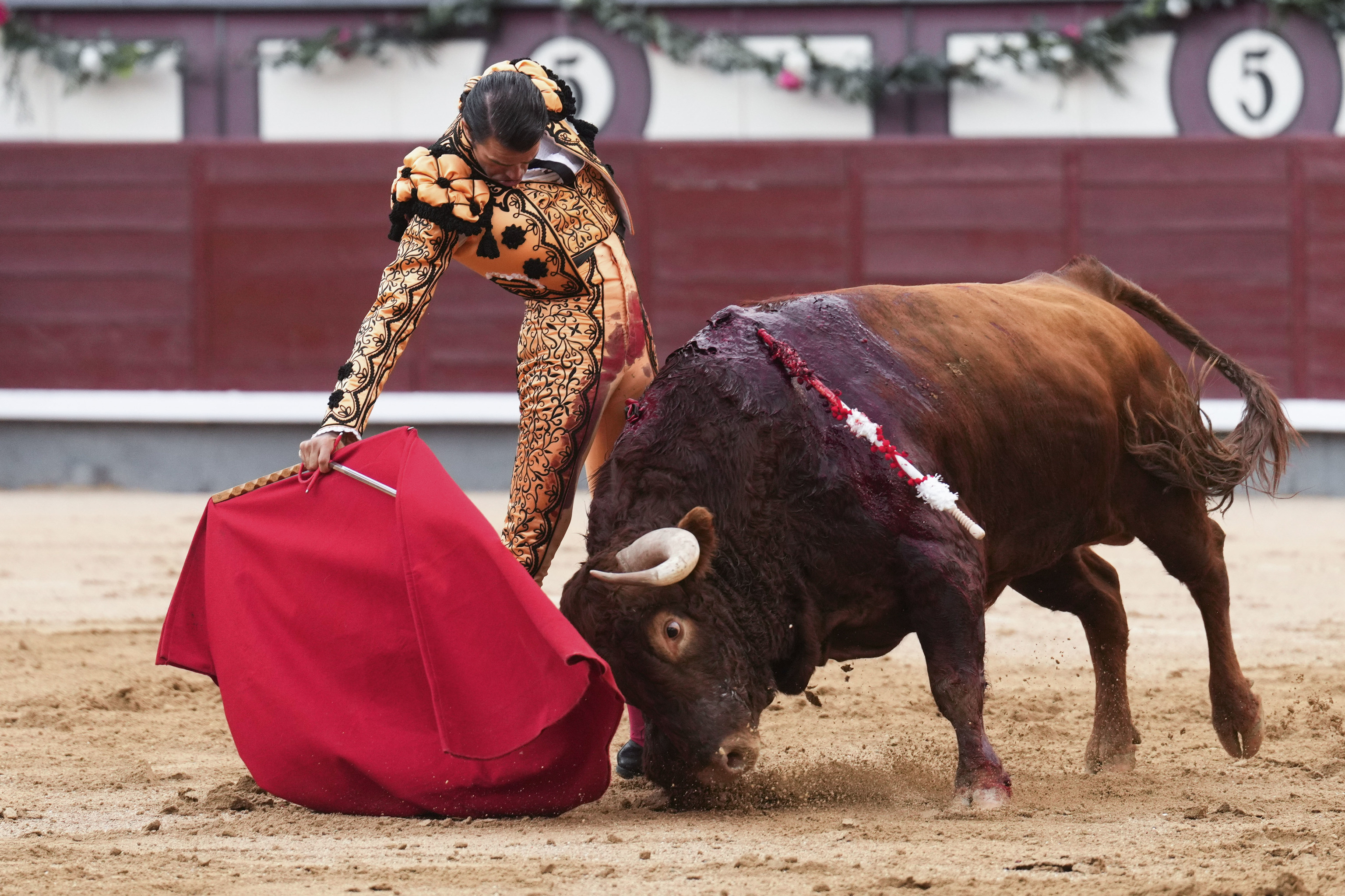 Programa de toros de la Feria de San Isidro 2026: cartel, días y ...