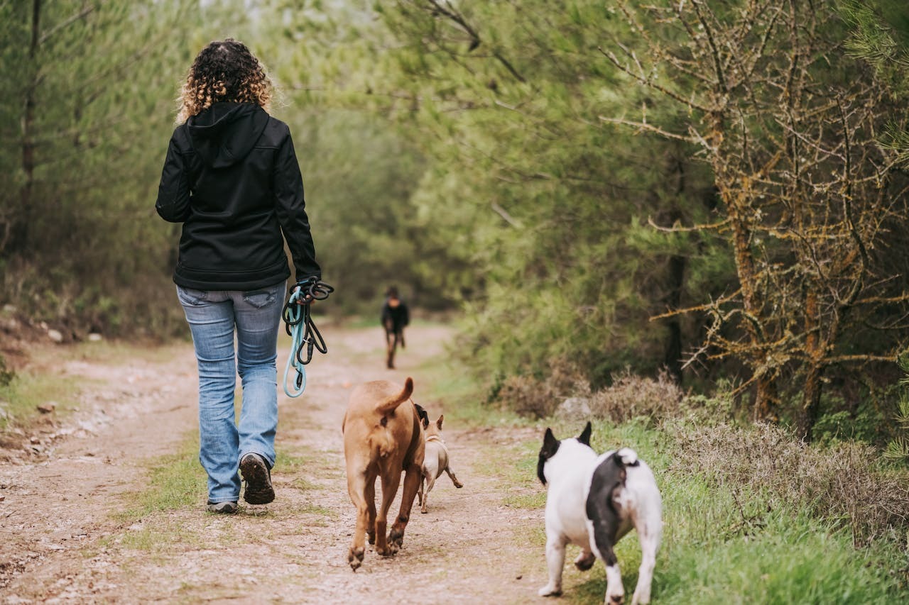 Perros. Noticias de perros | EL MUNDO