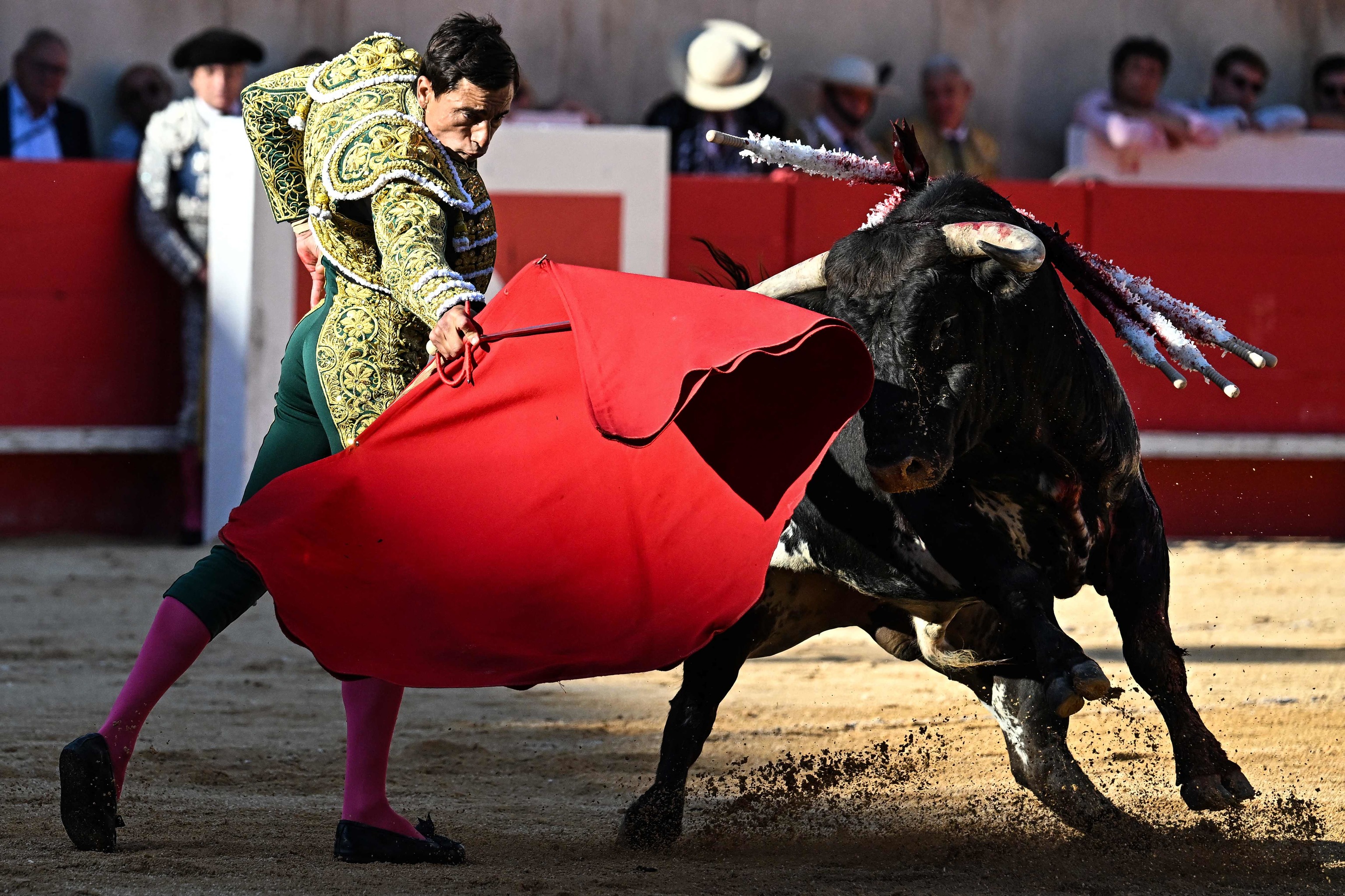 Toros en Madrid hoy, domingo 31 de mayo: quién torea y dónde ver por TV ...