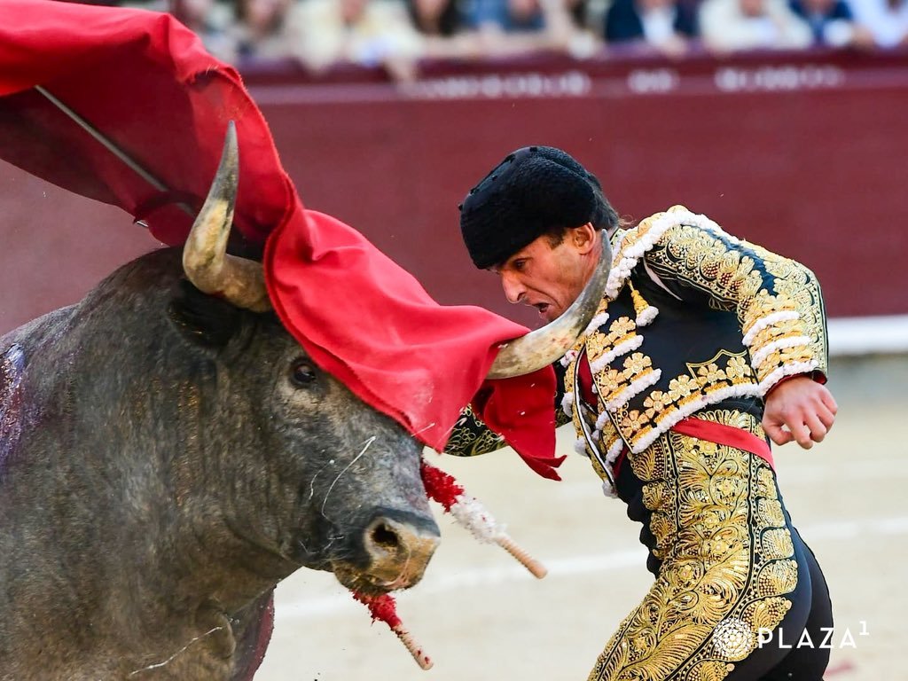 Noticias de Toros | EL MUNDO