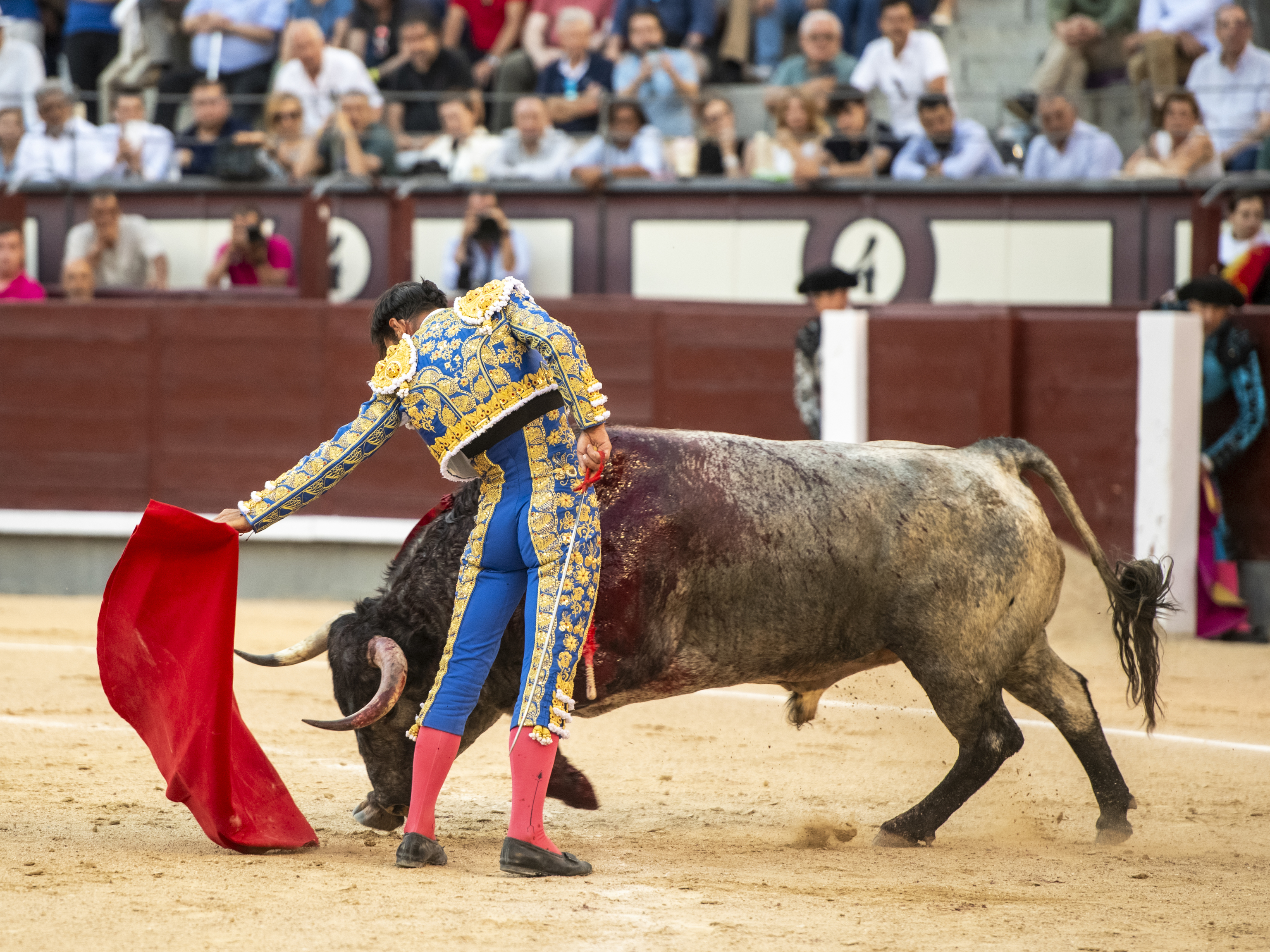 La crudísima guerra de Damián Castaño con un temible toro de Escolar en ...