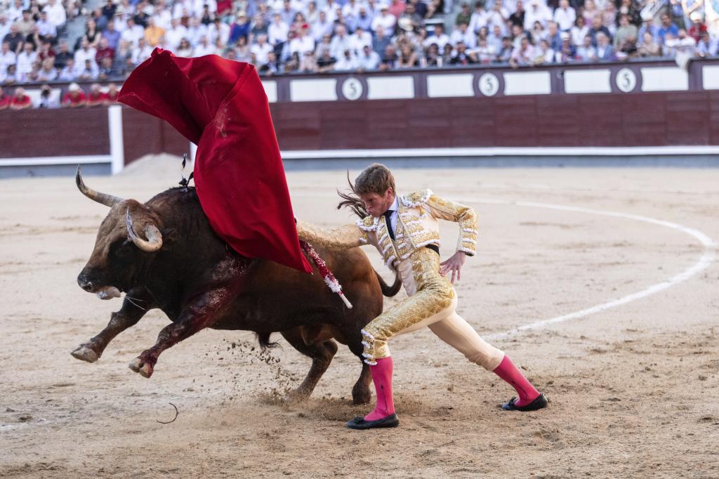 Toros en Madrid hoy, domingo 7 de mayo: quién torea hoy y dónde ver por ...