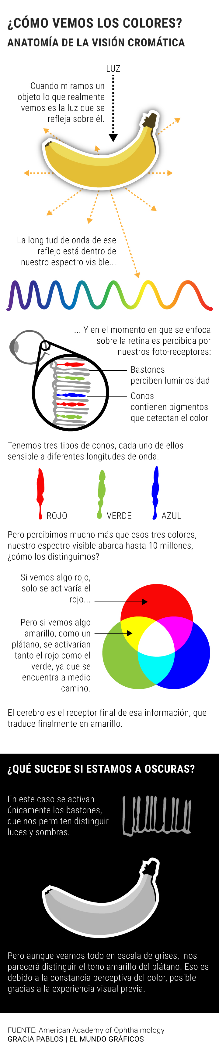 ¿Por qué las mujeres distinguen mejor los colores? | Salud